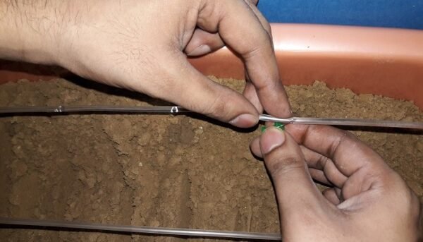 Drip irrigation system model | Scienceteen